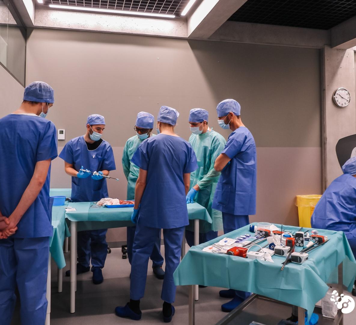 Robot-assisted Hepatobiliary Surgery - Masterclass | Orsi Academy